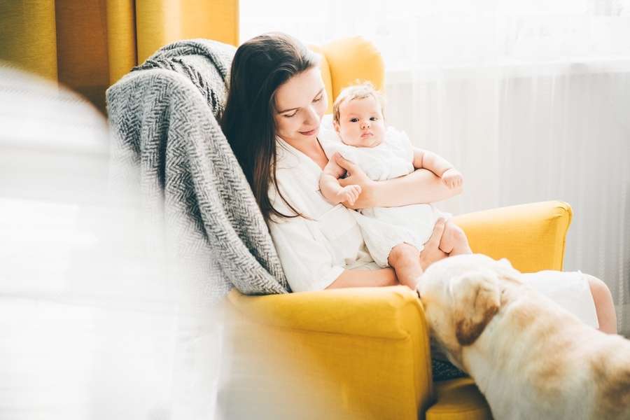 Post Delivery Support Products | Sunstone Formulas